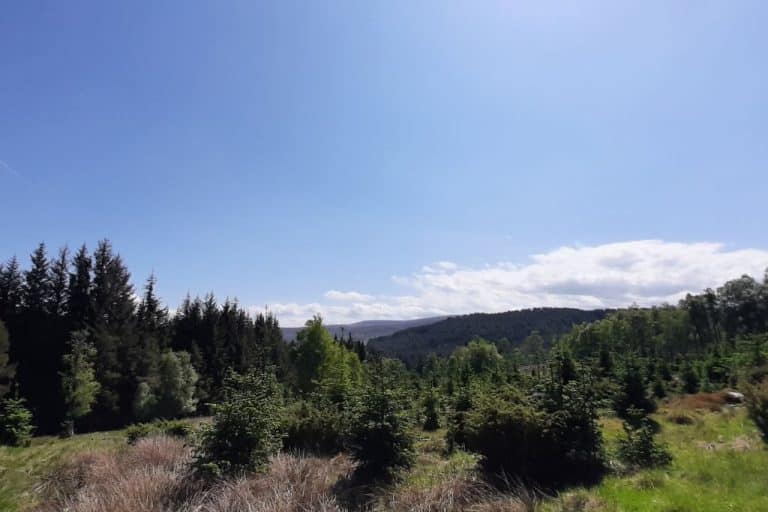 Inverness vs Edinburgh | Which Scottish City Should You Visit?